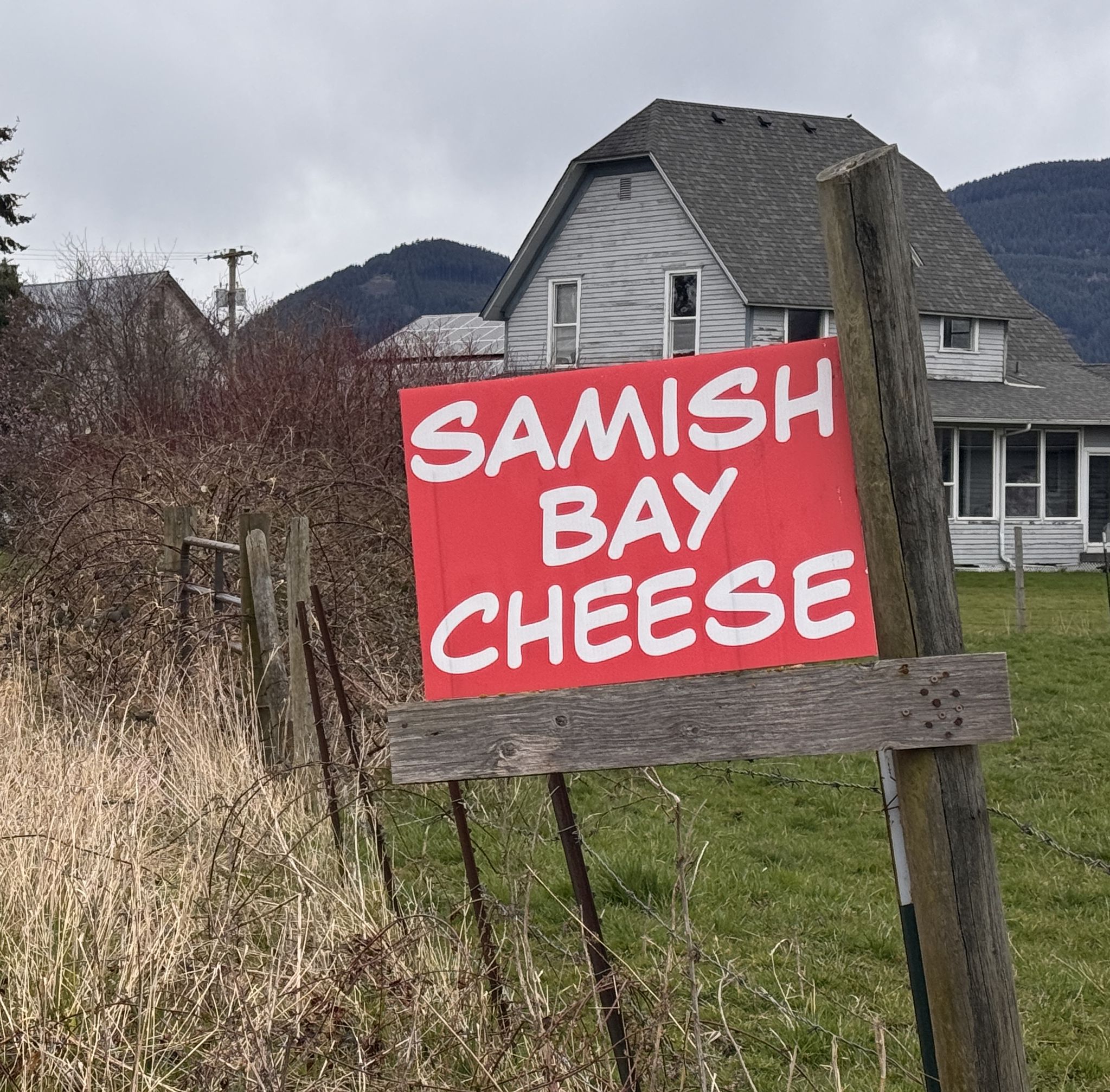 5 Samish Bay Cheese – Anacortes Food Coop